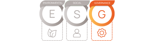 ESG at ESE – Sustainable and Responsible Practices | ESE